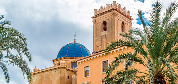 Qué ver en Elche, la ciudad de las palmeras | Renfe