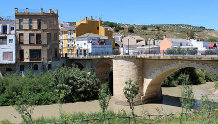 Avlo, Renfe Low Cost (Puente Genil) | Renfe